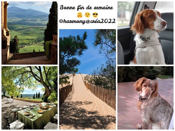 Bonne fin de semaine et bon week end.