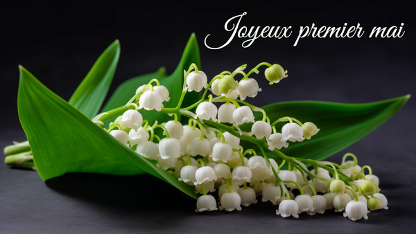 Bon 1er mai